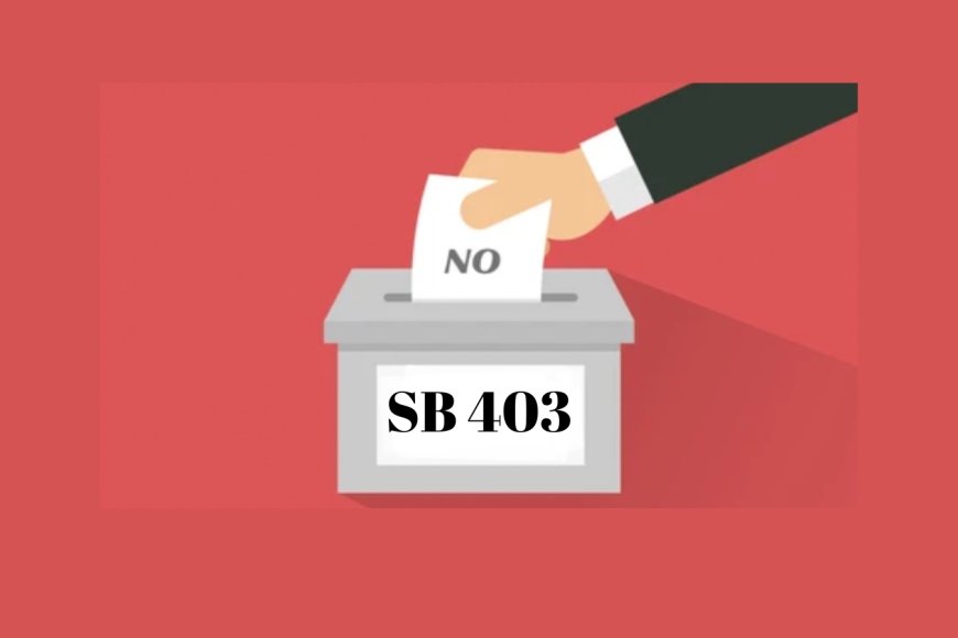 SB 403: Unresolved Issues and Shifting Perspectives on Adding Caste as ...