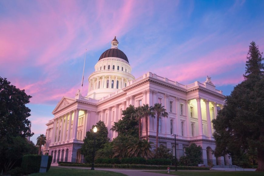A Call to Action: Judicial Recourse to Countering SB 403 While it ...